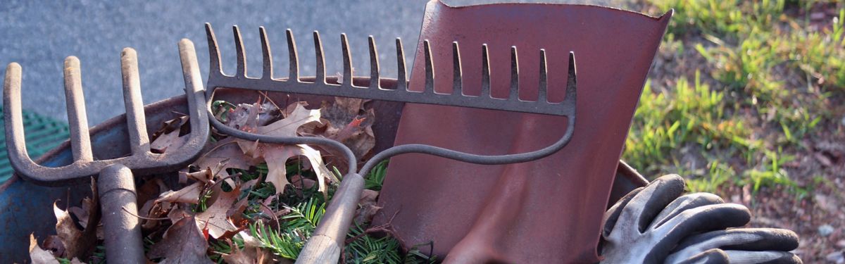 How to clean garden tools | Ask Team Clean