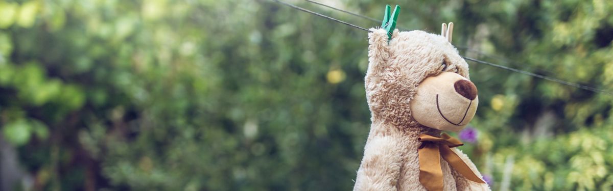 How to clean a stuffed animal | Ask Team Clean