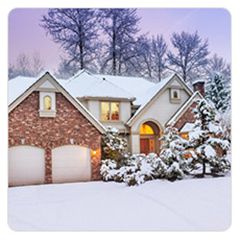 Keep Cockroaches Away During Winter Months | Combat Bugs