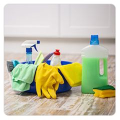 Spring Cleaning & Ant Prevention Tips | Combat Bugs