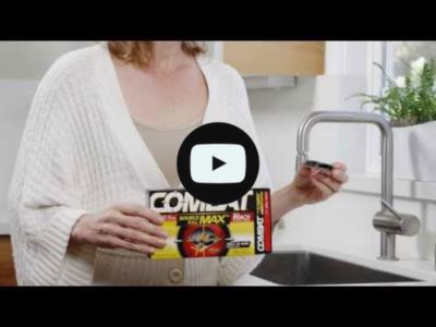 How to Use Combat Roach Killing Baits | Combat Bugs