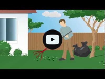 How to Prevent Roaches & Ants from Getting in Your Home | Combat Bugs