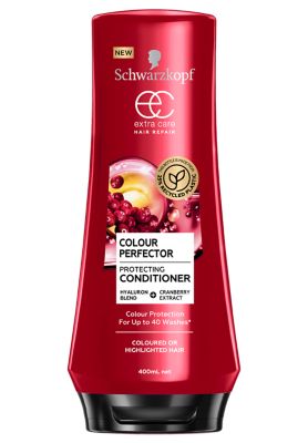 Colour Perfector Conditioner