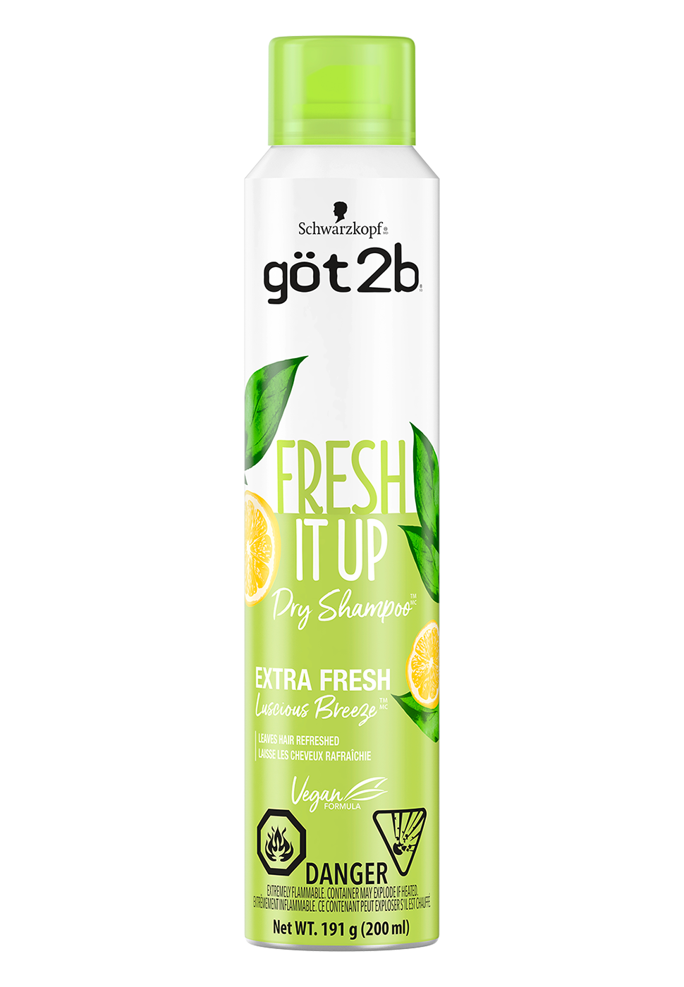 Extra Fresh Dry Shampoo