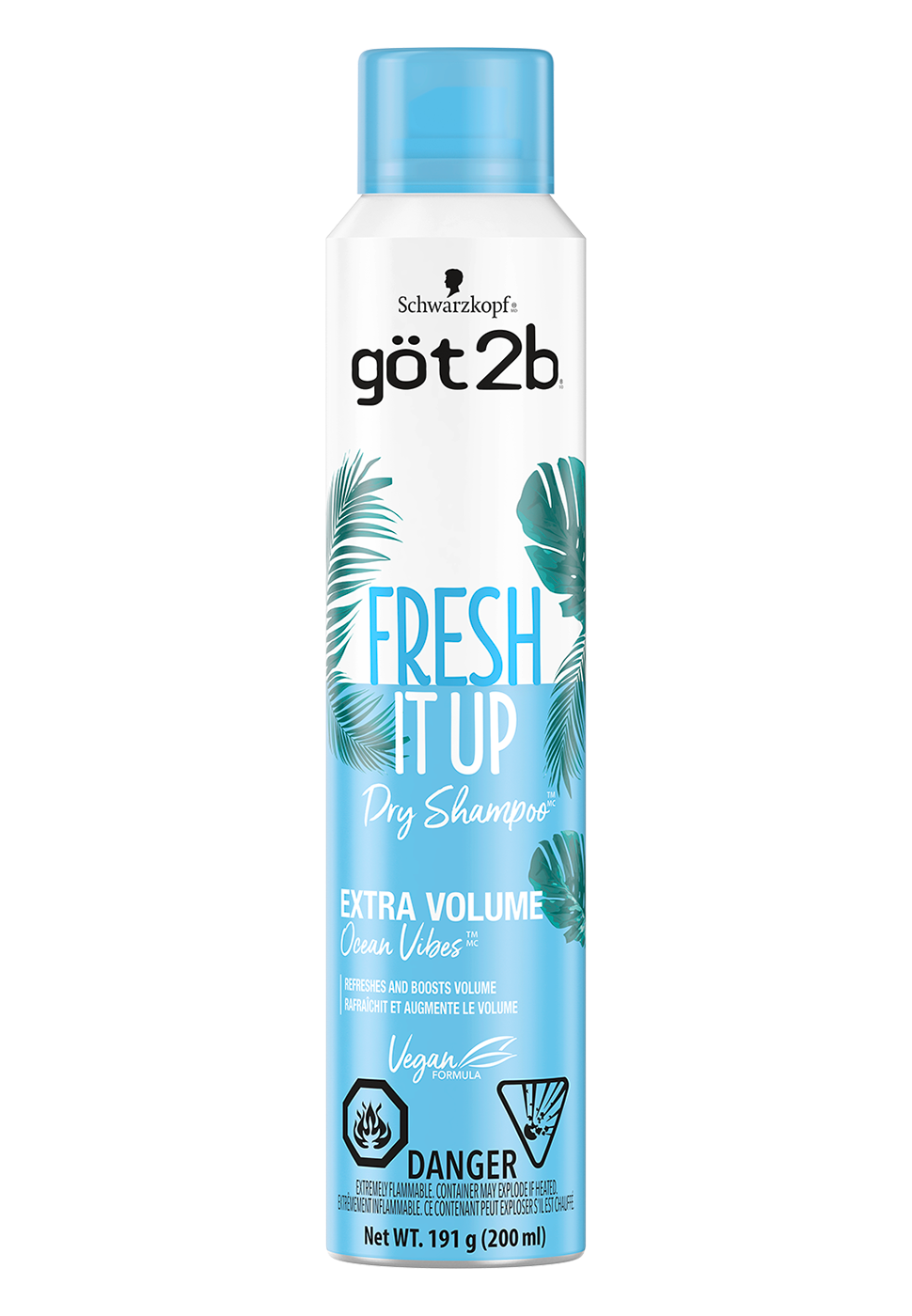 Extra Fresh Dry Shampoo