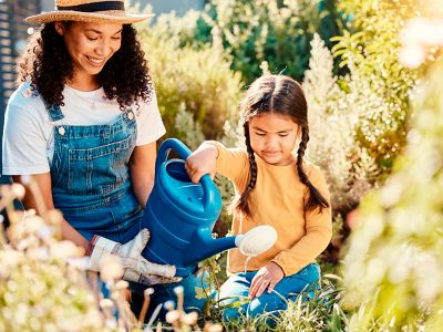 Material Health Certificate