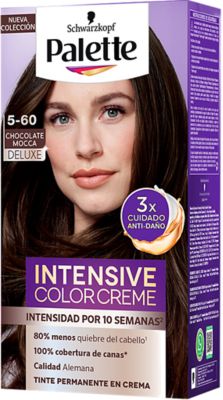 Colores De Pintura Crema Moca