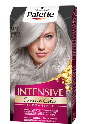 Palette Intensive Color U71 Gris plata