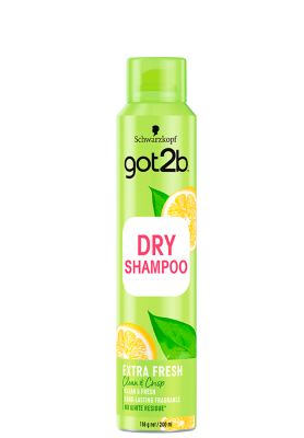 Shampoo Seco Got2B Extra Frescura Dry Shampoo Extra Fresh