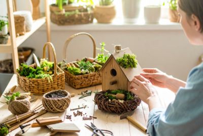Vogelnest basteln – in sechs einfachen Schritten