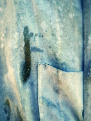 How to get mold and mildew stains out