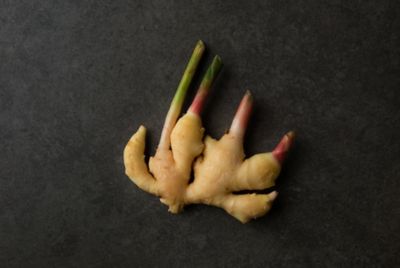 How to reuse your kitchen waste – and use it to grow plants | Ask Team ...