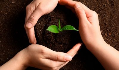 Trajnostni razvoj - Ceresit