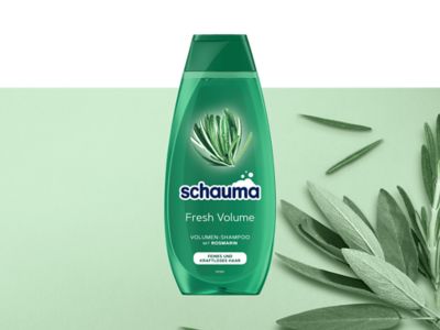 Schauma Fresh Volume Shampoo