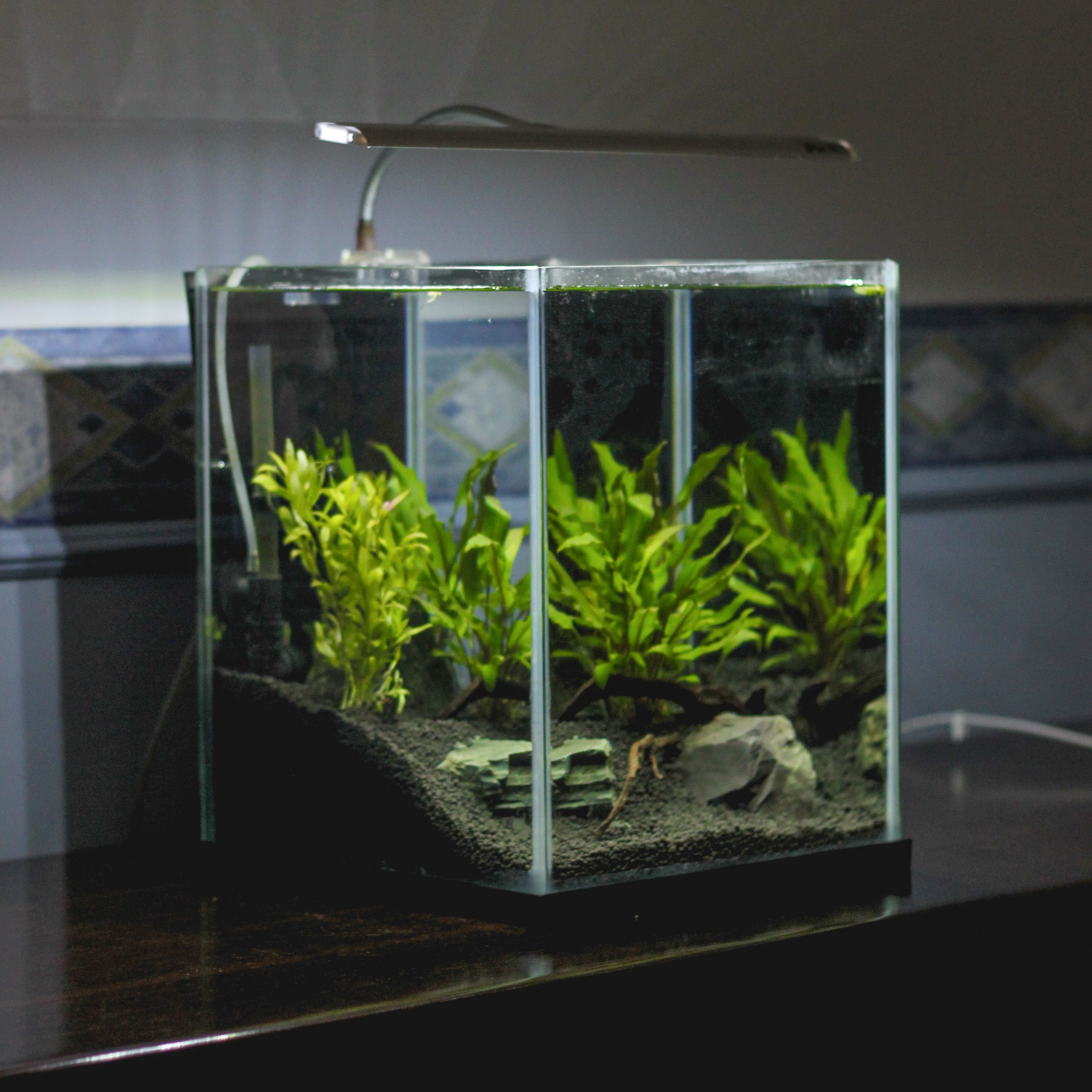 How to reseal a fish tank in 7 easy steps