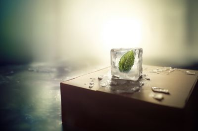 Bio-based hot melt adhesive helps to reduce CO2 emissions in the ...