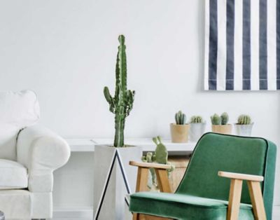 Interior Design Ideas