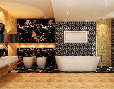 A brief history of toilet styles